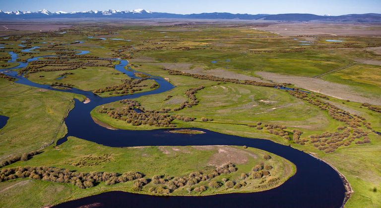 Alerta bajo el cielo de Montana